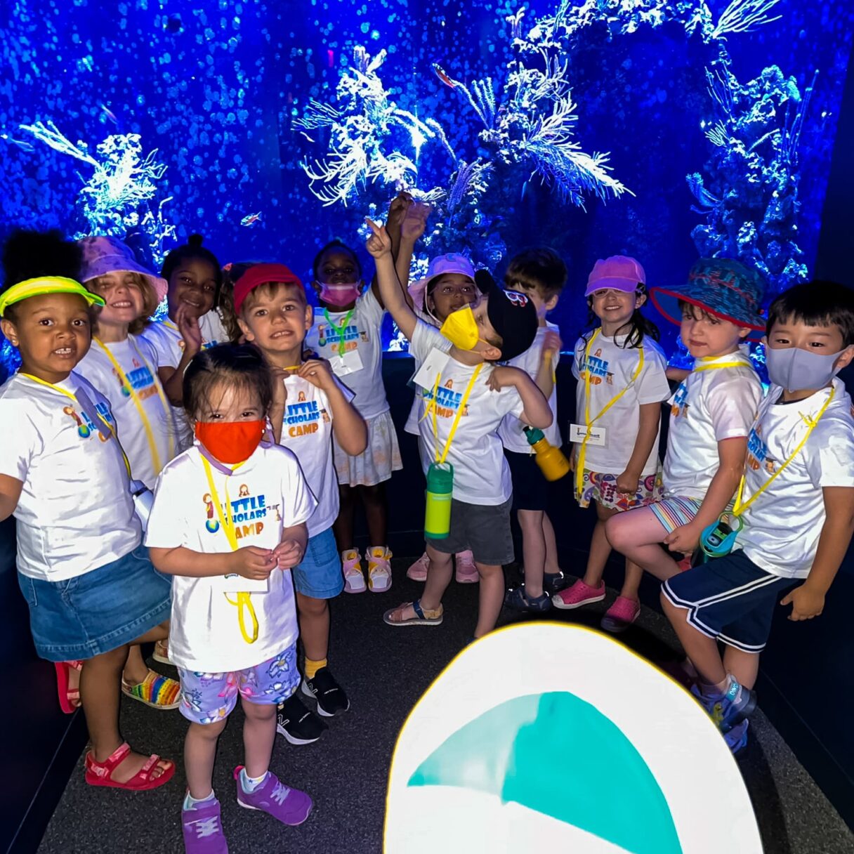 Why are field trips important for kids' development? | Littlescholars ...