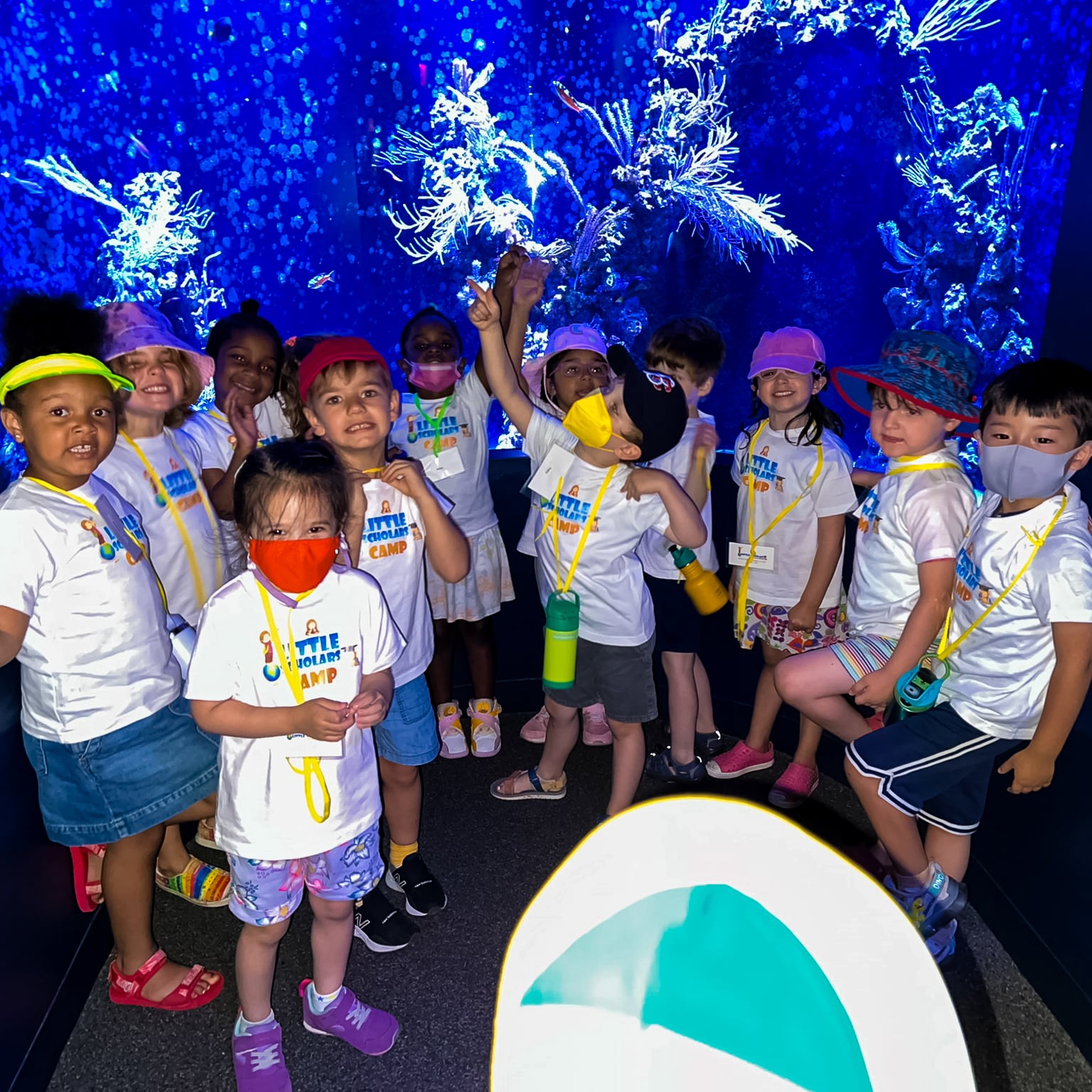 Why are field trips important for kids' development? | Littlescholars ...