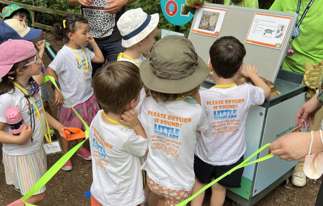 3K Preschool Program in NYC for 3–4 Year Olds | Little Scholars